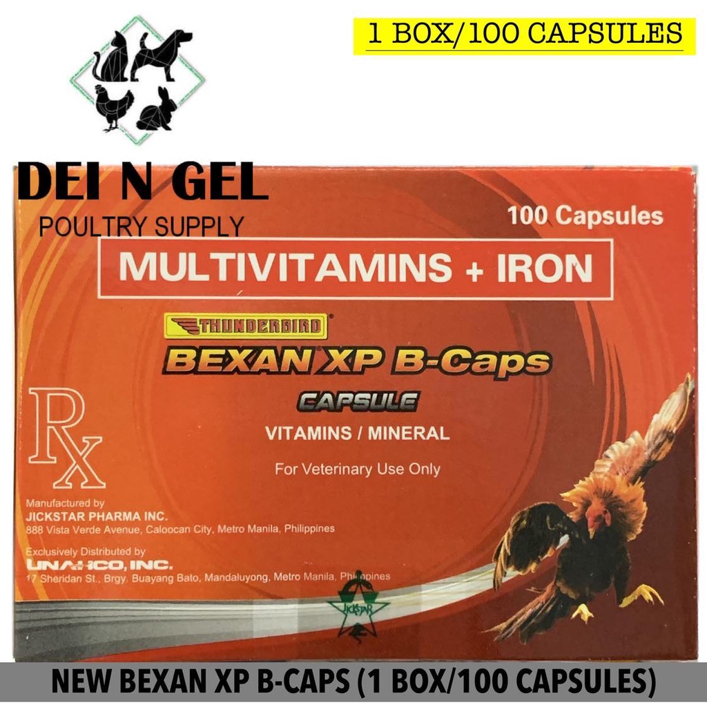 Bexan XP Capsules (1 BOX/100 Capsules) | Shopee Philippines