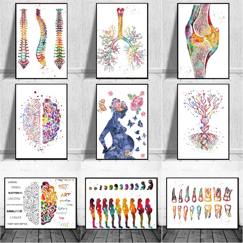 Human Anatomy Muscles System Wall Art Canvas Painting Posters and ...