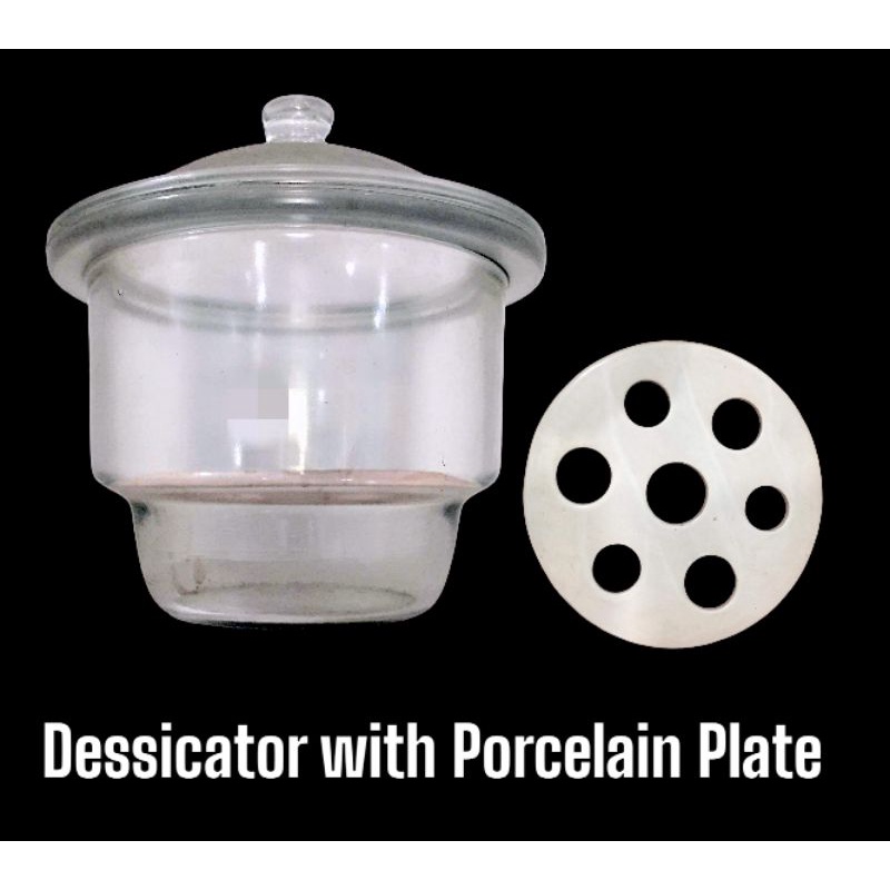 Dessicator Glass with Porcelain Plate, 240mm | Shopee Philippines