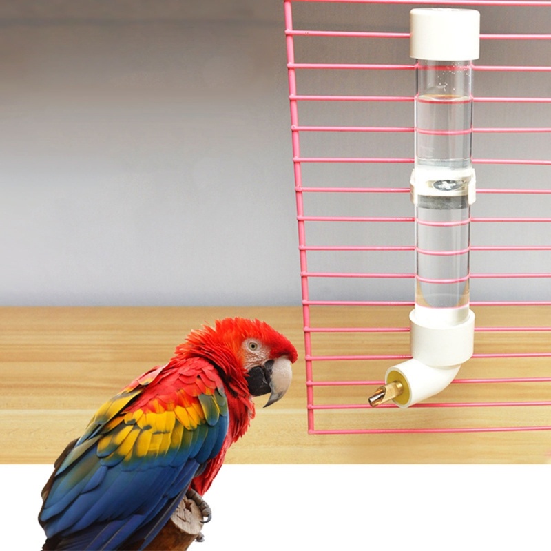 VIKK Animals Water Bottle Great for Hamsters Mice Guinea Pigs Rabbits ...