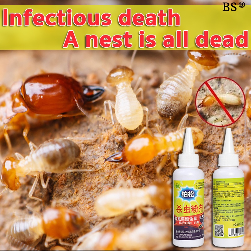 termite killer powder75g,termite control special medicine,Termite Ant ...