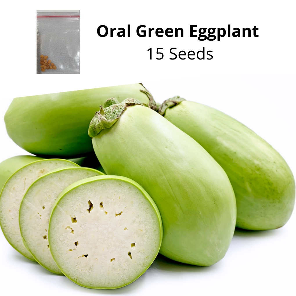 Oral Green Eggplant Seed | Shopee Philippines