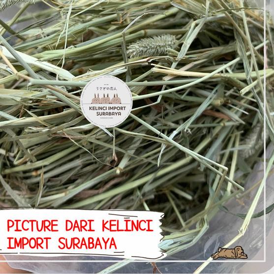 Timothy Hay Oxbow - Rabbit Food - Hay Grass 1kg | Shopee Philippines