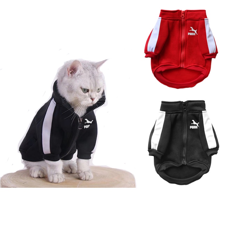 Zipper Cat Costume Fashion Brand Pet Clothes for Shih Tzu Cat Onesie ...