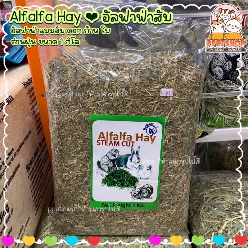 Alfalfa Hay Alpha Grass For Rabbits Gatsby Chinchillas [Alpha Chopped ...