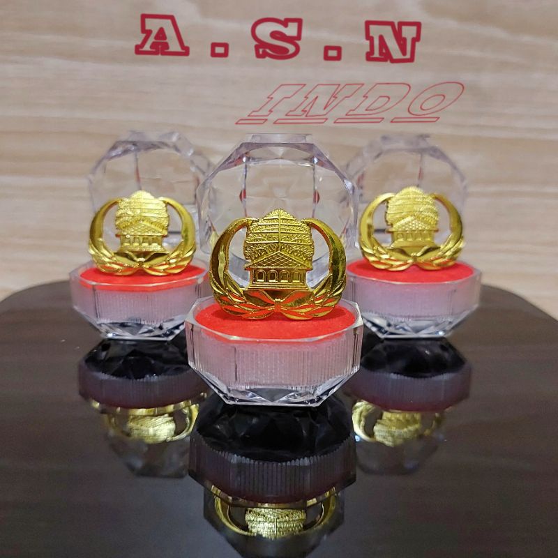 Pin ASN Pin ASN Badge ASN Pin ASN Pin PNS Pin State Servant Pin Magnet ...