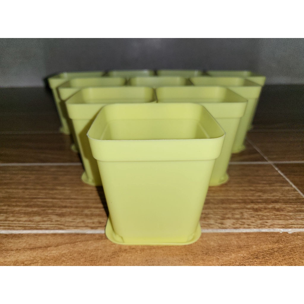 (10 pieces) cutie pots w/ catch plate - pots for plants - succulent ...