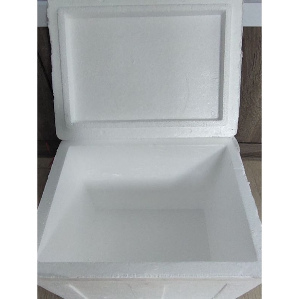Styrofoam Box (Medium) | Shopee Philippines
