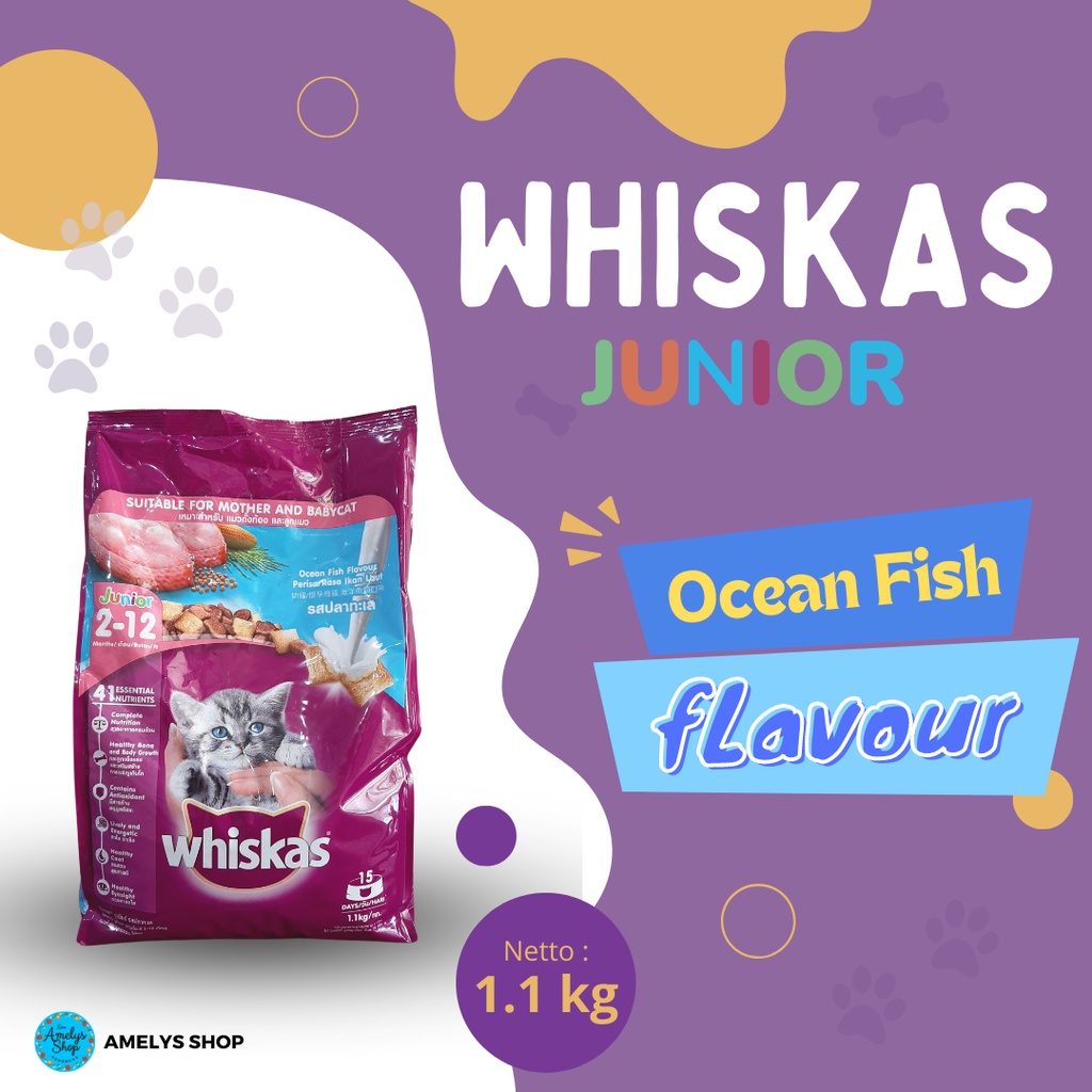 Whiskas Junior Ocean Fish Kitten Food 1,1 Kg | Shopee Philippines