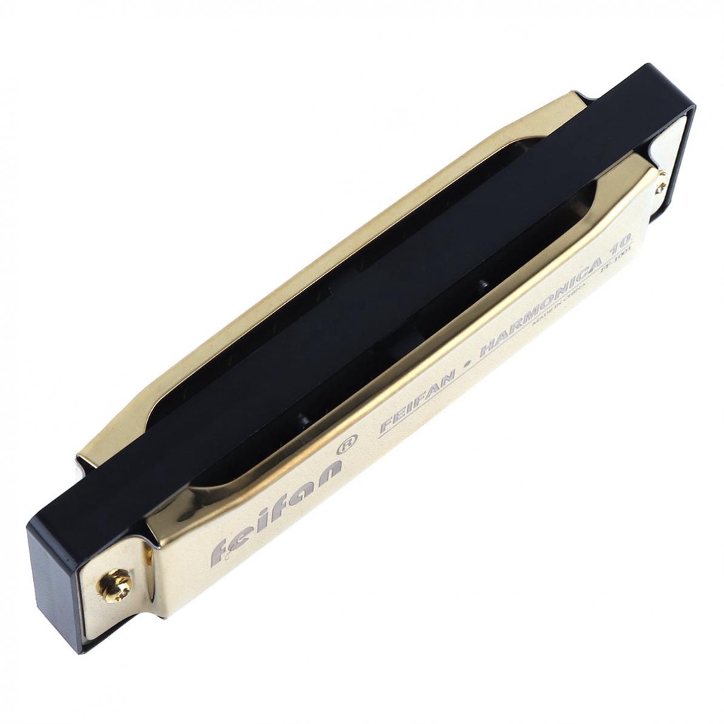 10 Holes 20 ToneC Matte Harmonica Blues Harp Mouth Organ Stainless ...