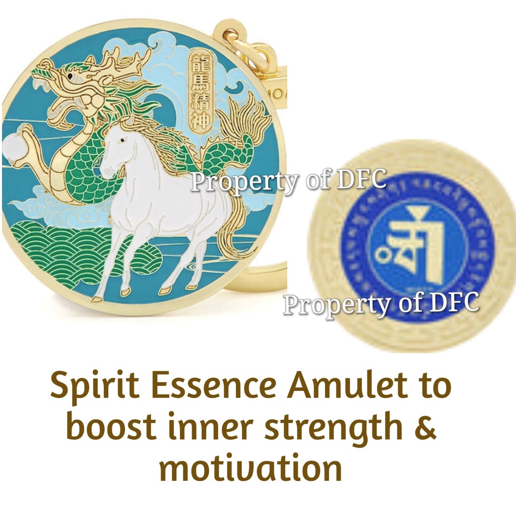 BLESSED Spirit Essence Amulet to boost inner strength & motivation ...
