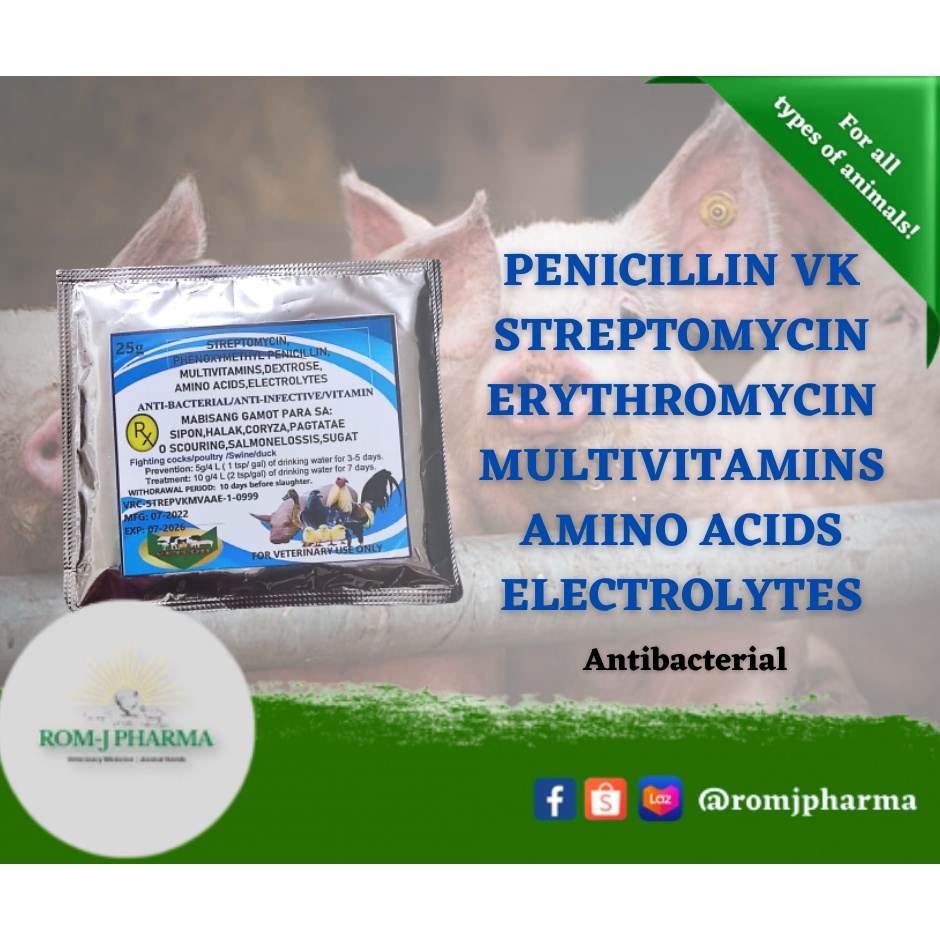 VETCOH PENICILLIN VK+STREPTOMYCIN SULFATE PLUS 25G PACK | ROM-J PHARMA ...