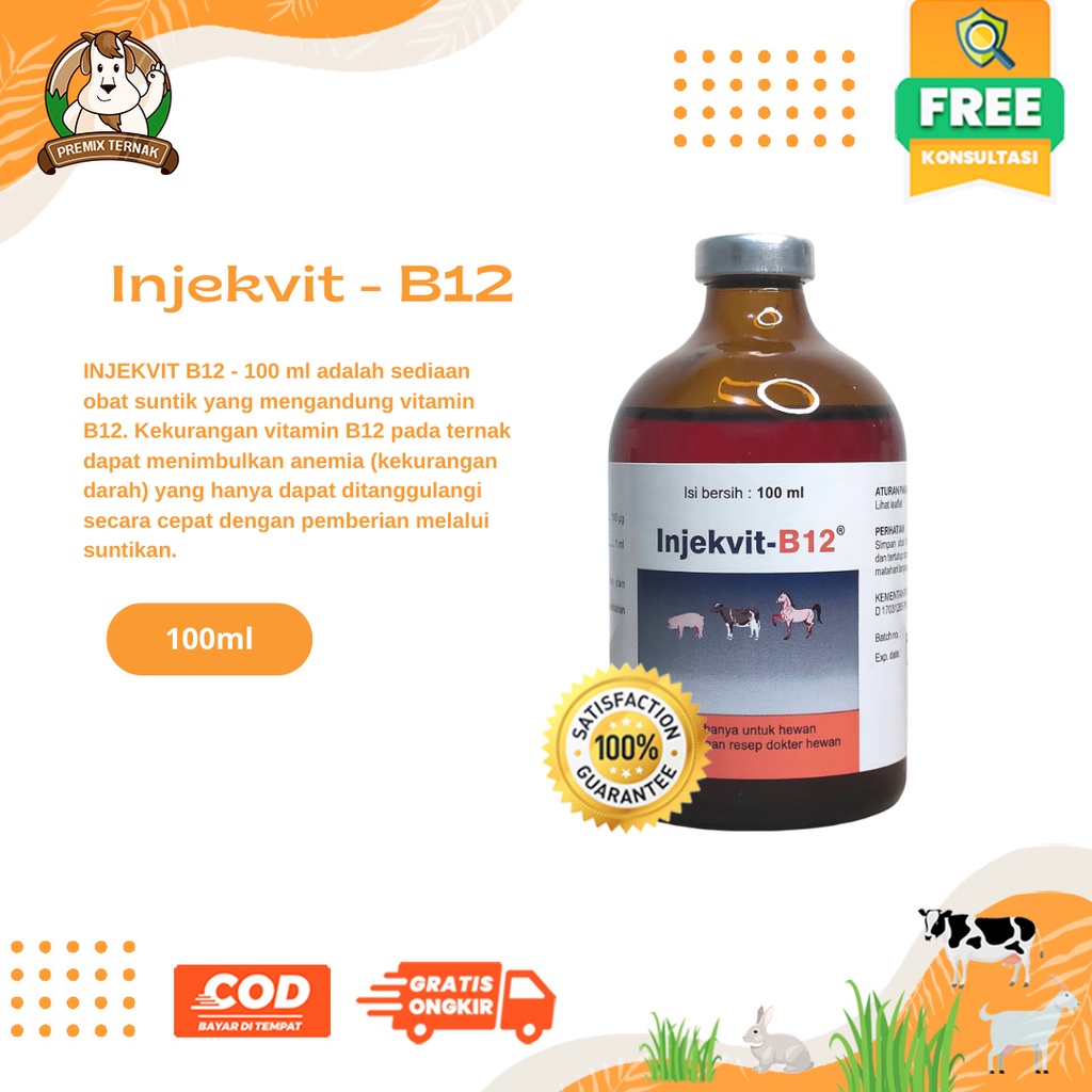 Injection B12 100ml MEDION Medicine B12 To Improve Anemia Body ...