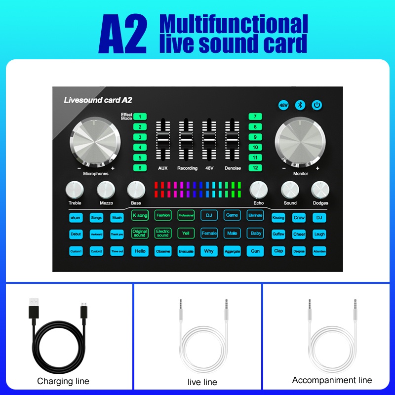 RAYHAYES Bluetooth A2 Live Sound Card Set With Condenser Mic For Live ...