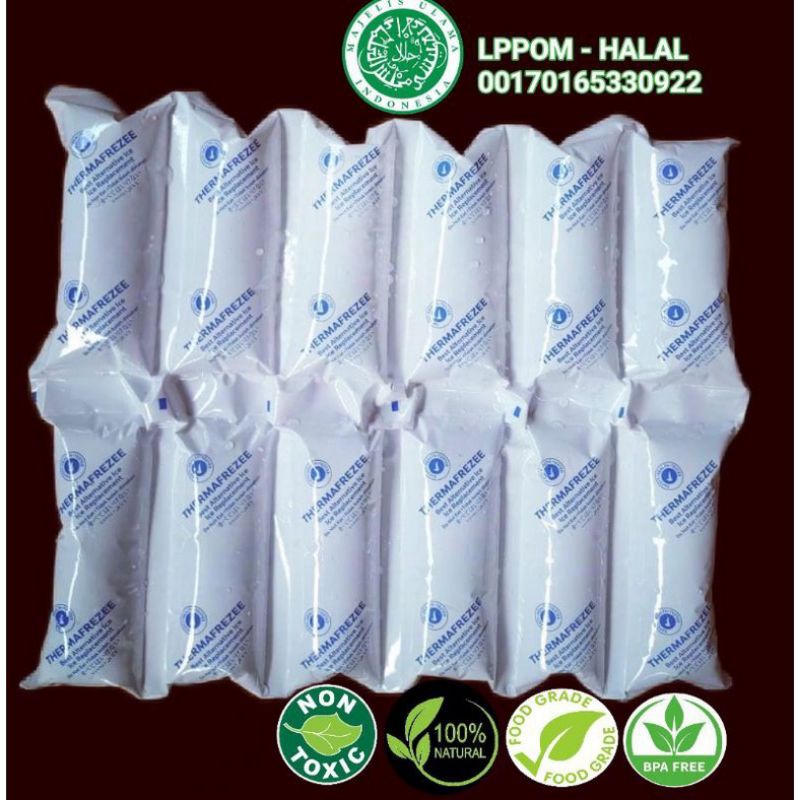 Ice gel ice pack thermafreeze 12 pcs dry ice sheets | Shopee Philippines