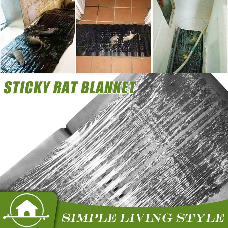 Sticky Rat Spider Insect Trap Mouse Soft Sticky Snake Cockroach Trap ...
