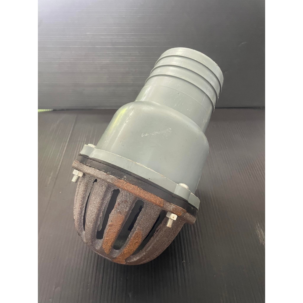 Foot Valve with Flapper 3 Inches COMBINATION CAST IRON HEAD with ...