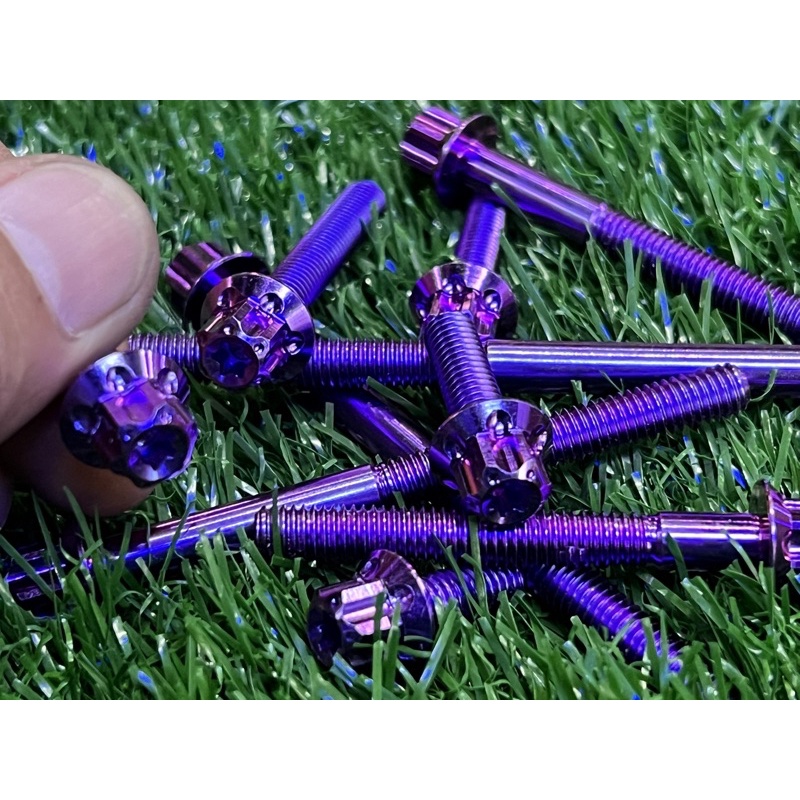 New High Grade Salaya CnC Gr5 Titanium Violet Bolts M6 Size 6x10/15/20 ...