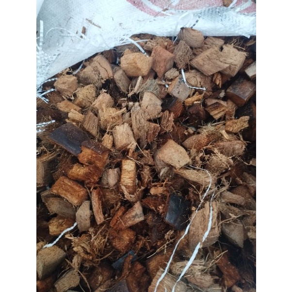 Coco Cubes (for plants) | Shopee Philippines