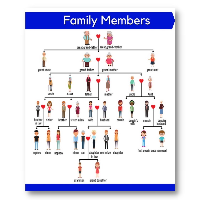 Laminated Family Members Charts for Kids, Learners and Students ...