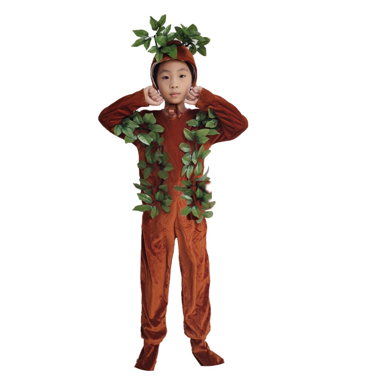 Children's costumes, botanical costumes, fruit tree costumes | Shopee ...
