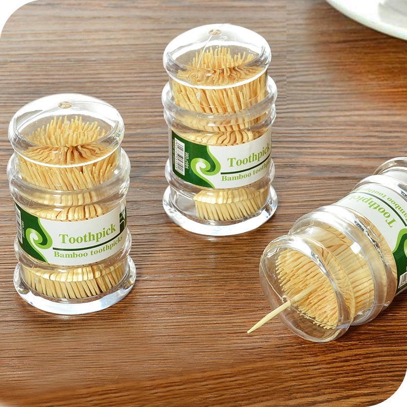 Toothpick with Container | Shopee Philippines
