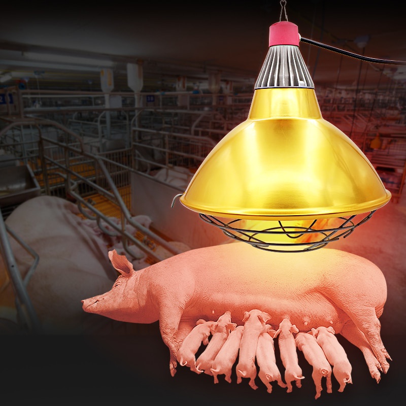 Viddavet Big Golden Pig Heating Lamp shade Infrared Heat Light shade ...