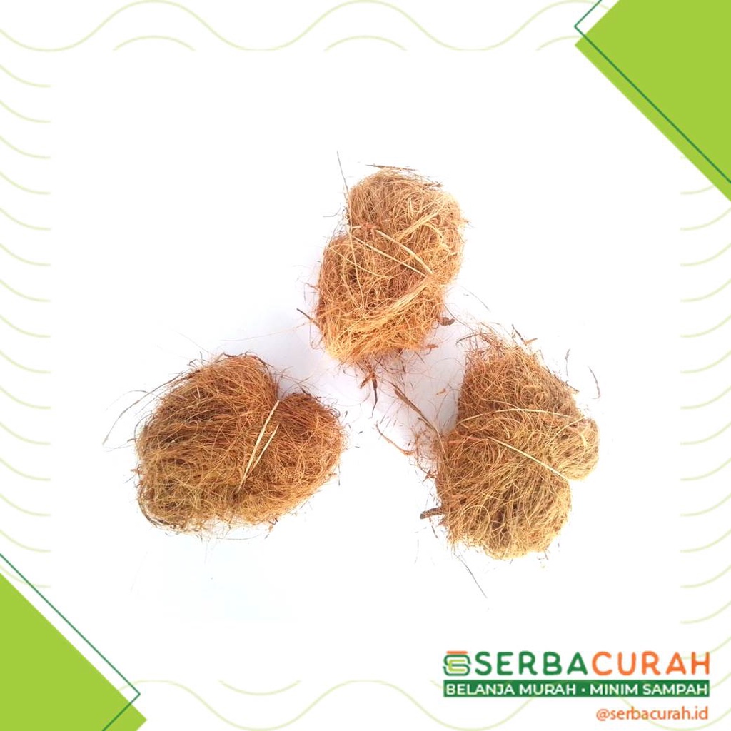 Bundle Coconut Coir | Dishwashing Sponge | Coconut Fiber Sponge ...