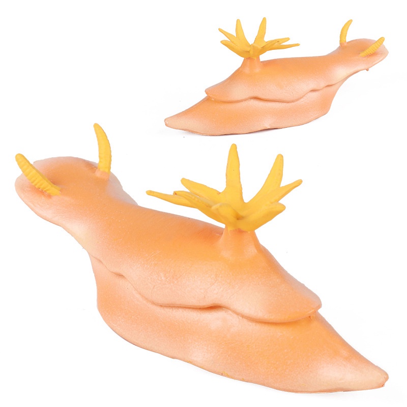Children science and education enlightenment Solid simulation of marine ...
