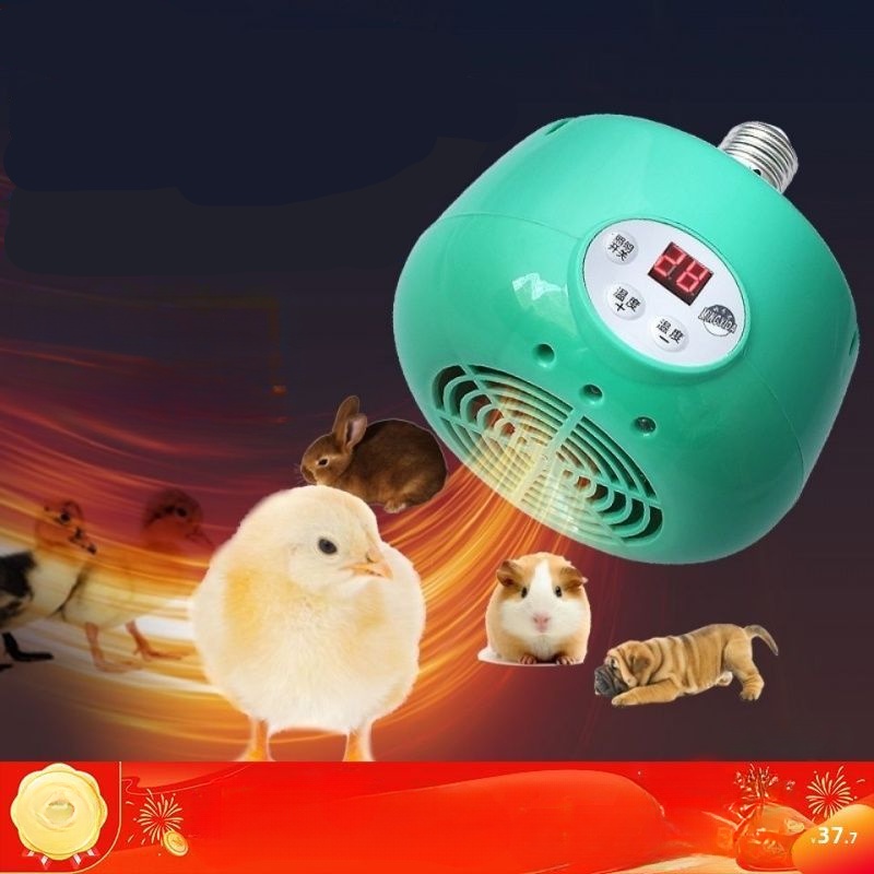 Pet Heating Lamp Animal Warm Light Chicken Puppy Kitten Lizard Rabbit ...