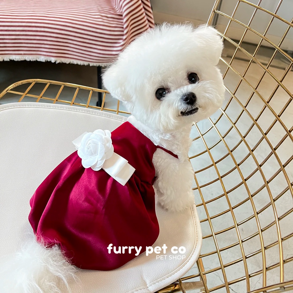Furry Pet Co Red Silk Dress with Flower | Shopee Philippines