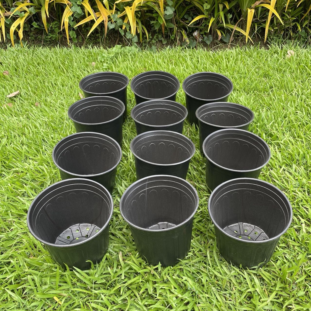 FAMILIFE 2-Dozen/24pcs (16cm-29cm) Durable Black Long Round PVC Nursery ...
