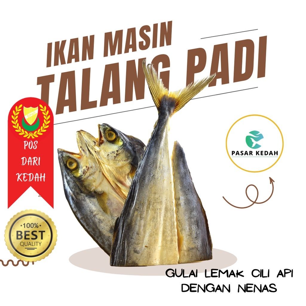 PUTIH Dried Fish Kedah Market Talang Padi Salted Fish Talang White ...