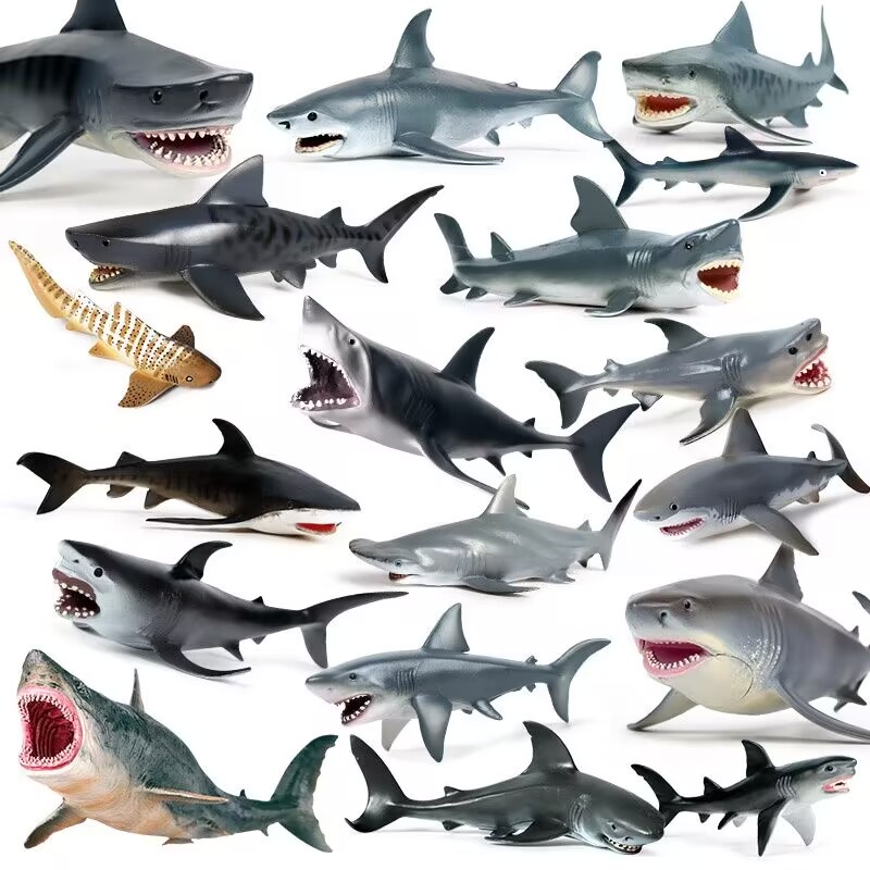 Marine shark prehistoric Megalodon Jaws Piranha simulation model ...
