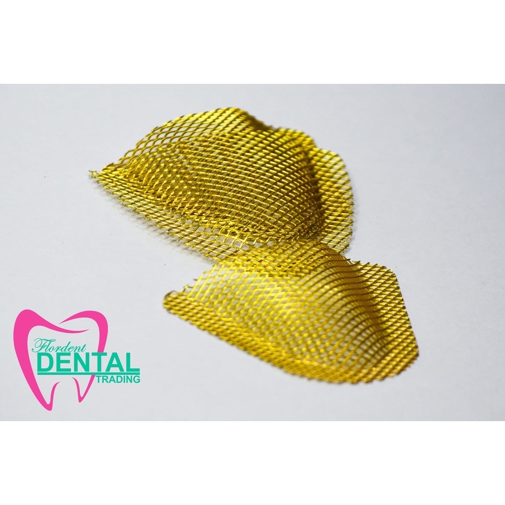 Dental Gold Mesh Denture | Shopee Philippines