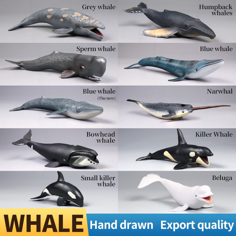 Sea Life Animals Whale Model Action Figures Figurines Ocean Marine ...