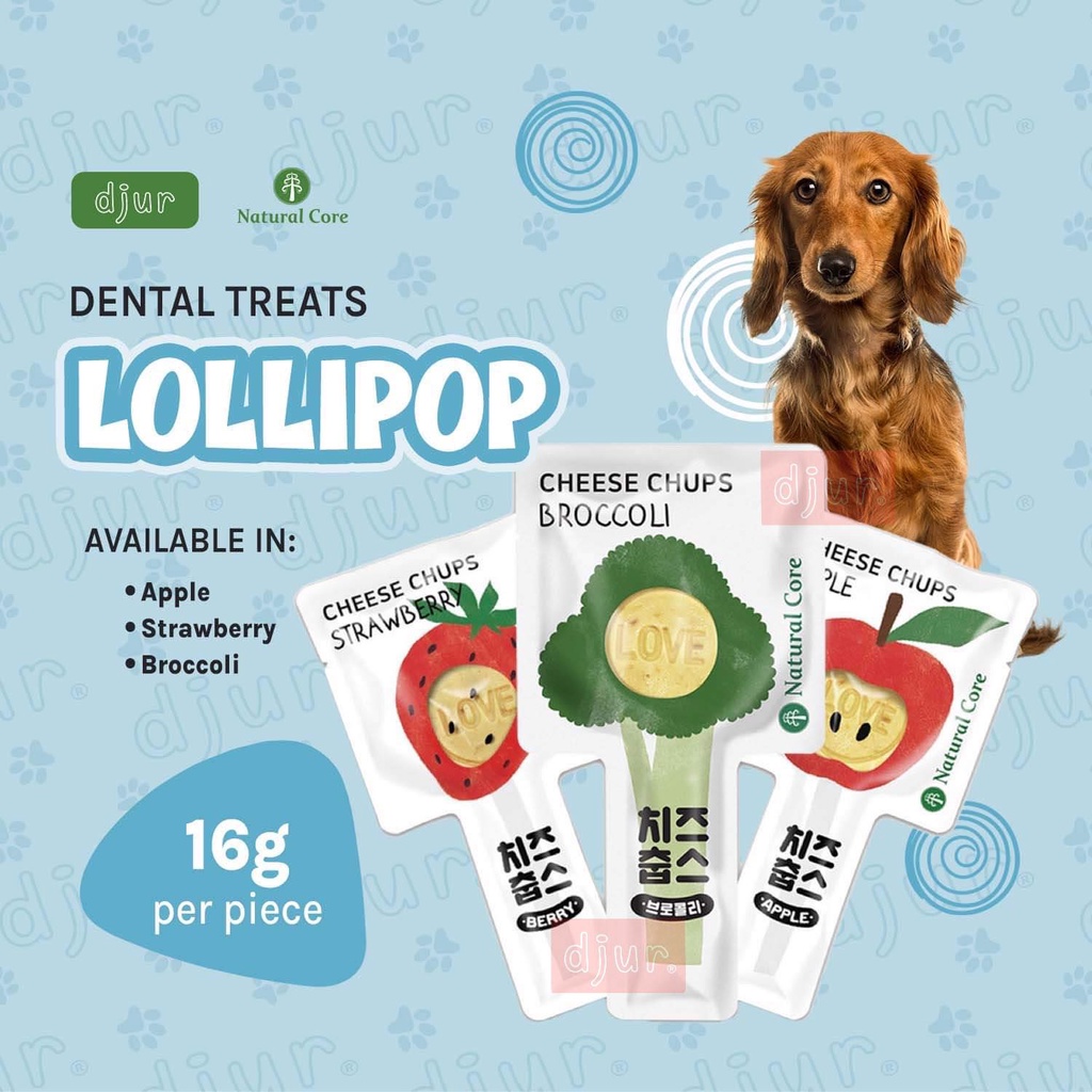 NATURAL CORE Korean Dog Treat 16g Dog Chews Lollipop Dog Snack Cheese ...