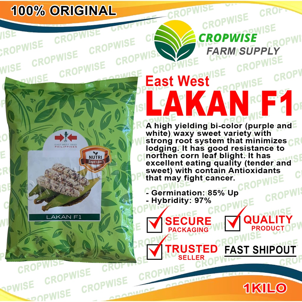 East West Lakan Kilo | Shopee Philippines