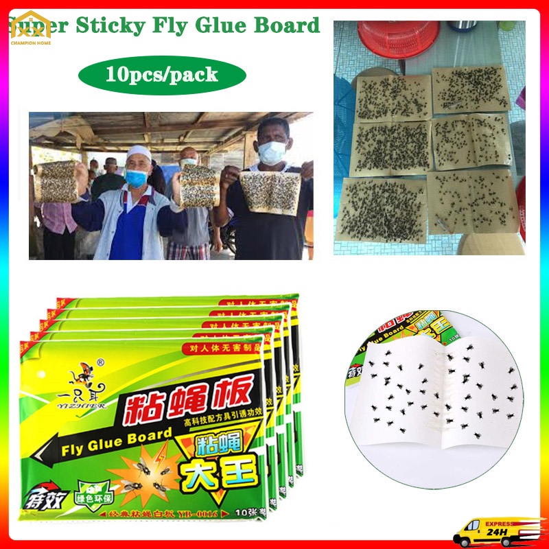 10pcs/Pack Fly glue board Fly Sticker Insect Trap Board Adhesive Paper ...