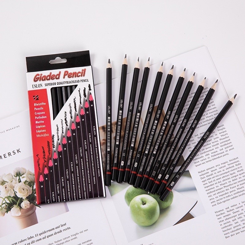 12pcs Single Pack Wooden Pencil 2H-8B Professional Drawing Diary ...