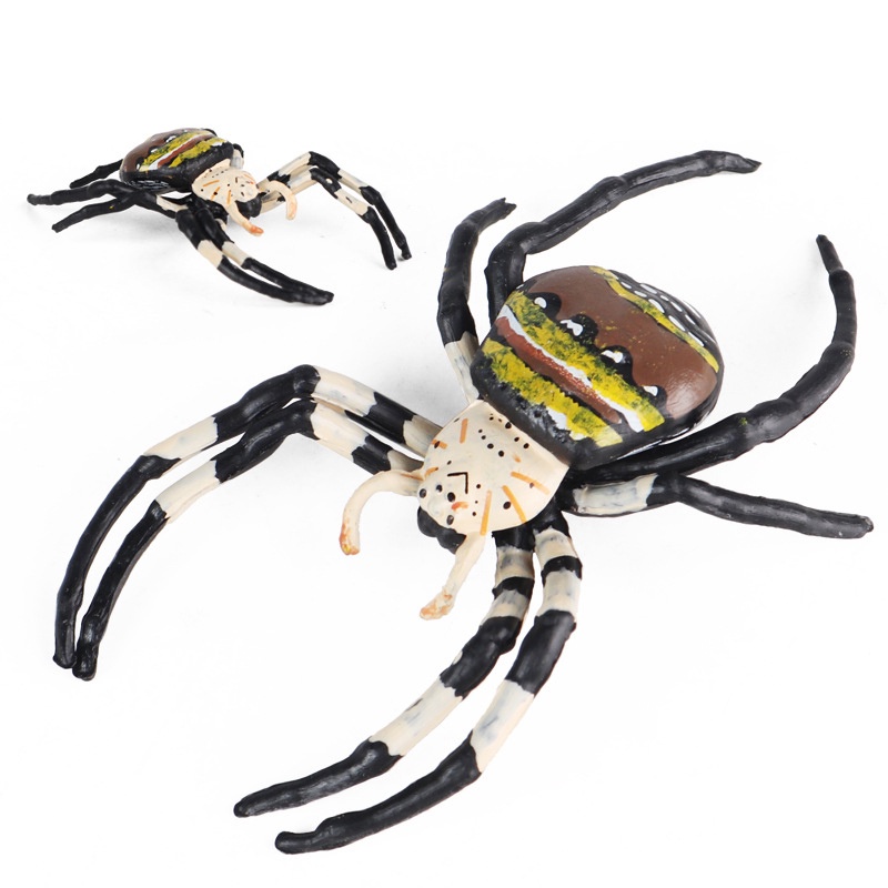 Simulation Spider Argiope Amoena insect model children early education ...