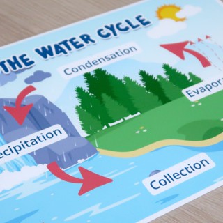 Water Cycle Educational Chart for Children - A4 Laminated Glossy ...