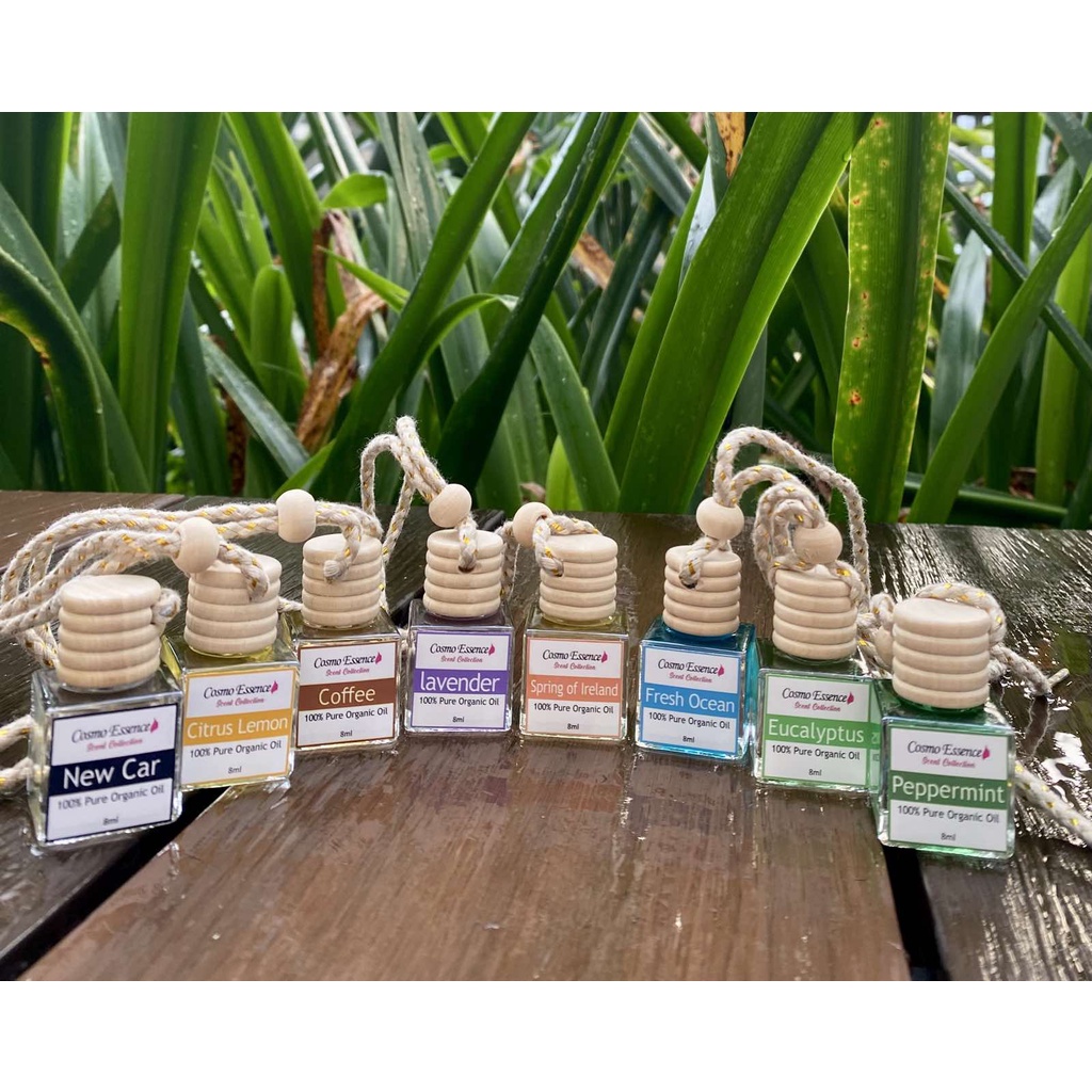 Hanging Car Diffuser Scent Oil Diffuser Aromatic Scent Organic and Fresh | Shopee Philippines