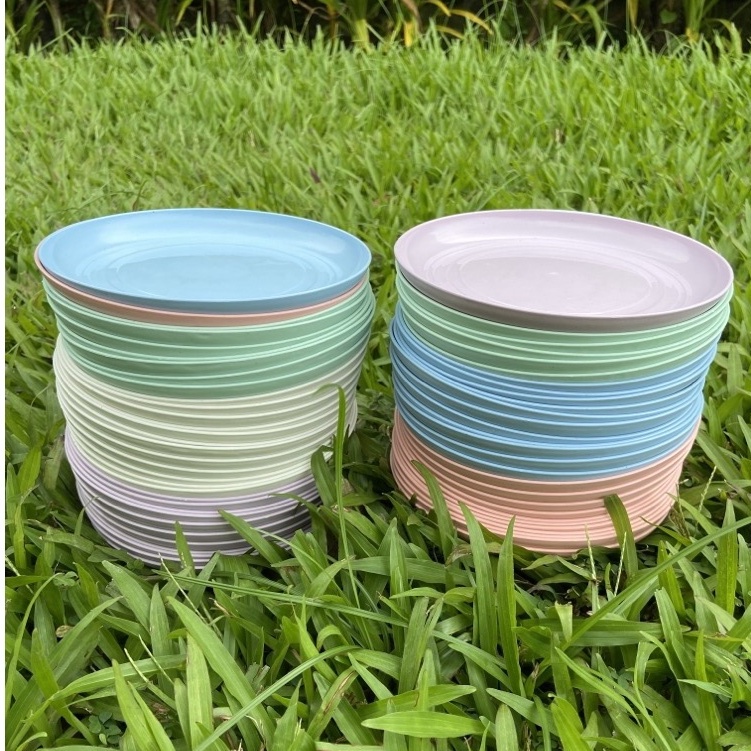 1pc (15cm) Dried fruit platito Snack plate Wheat straw spit bone ...