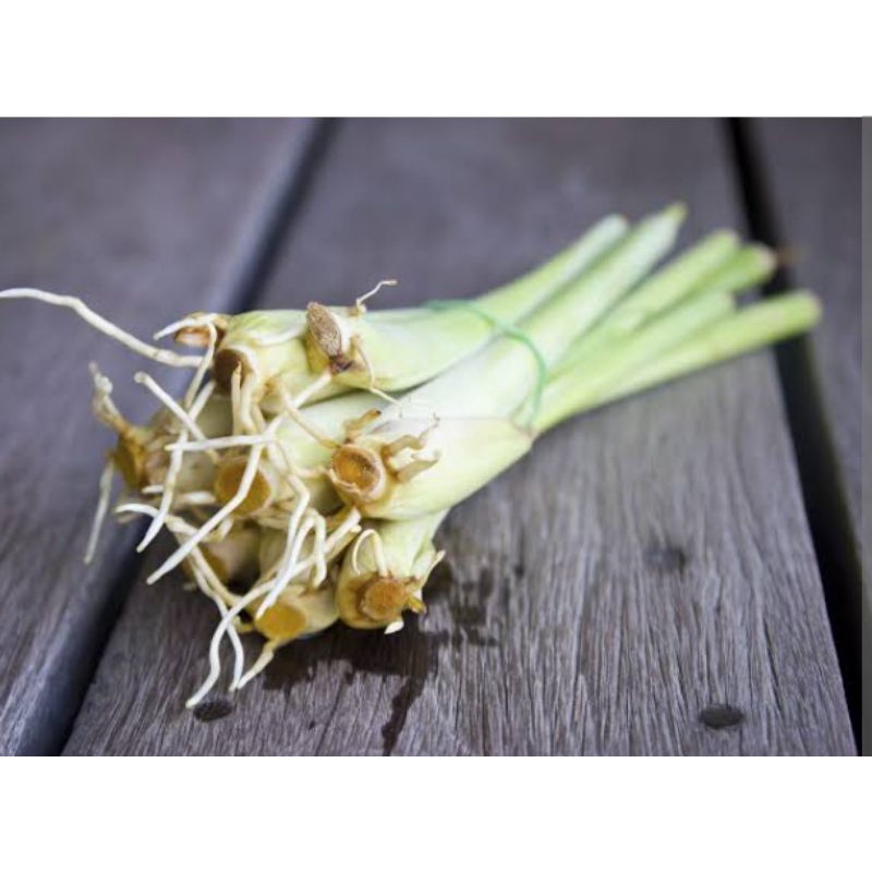 lemongrass/ tanglad(stem) 1 stem (pantanim) | Shopee Philippines