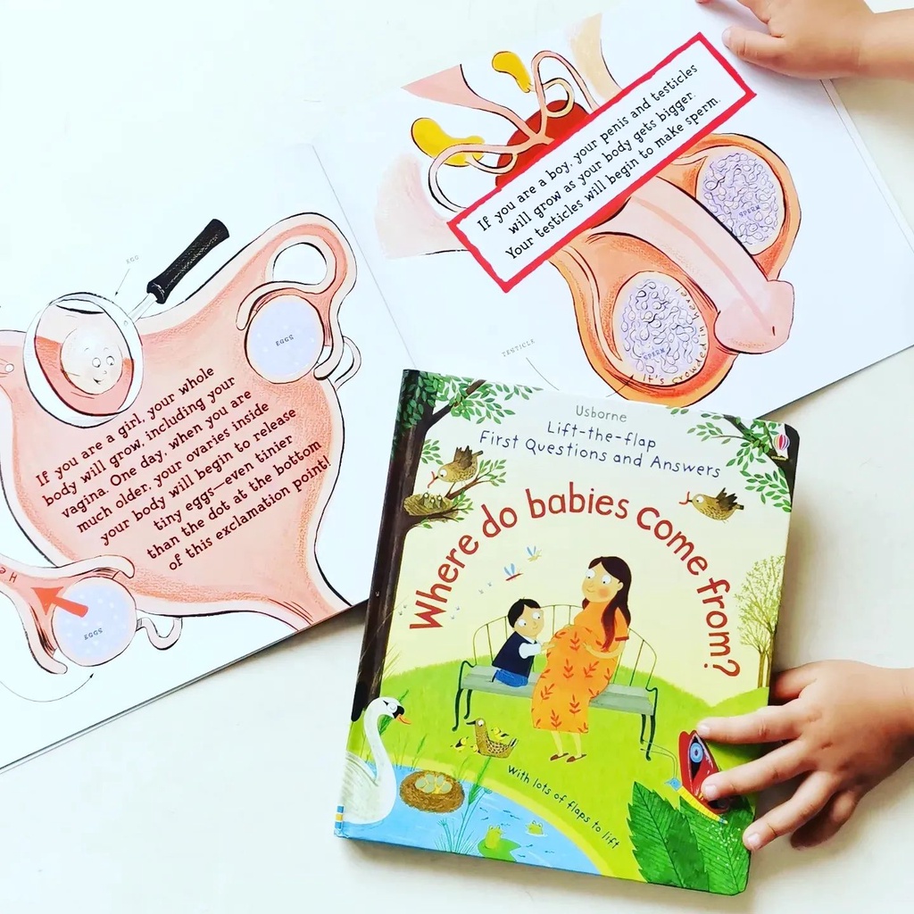 Usborne: Where Do Babies Come From (Lift-the-Flap First Questions ...