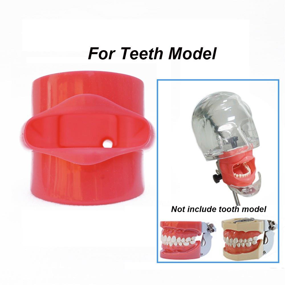 Cheek Dental Phantom Head Teeth Model Silicone Mask Teaching Or ...