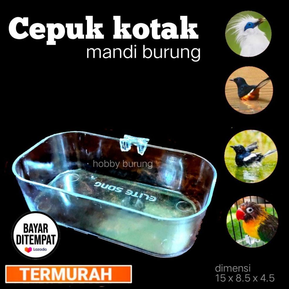 Elite SONG Bird Bath Container | Shopee Philippines