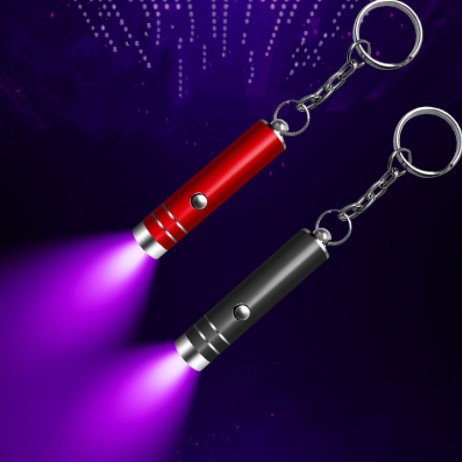 Keychain Money Detector UV Light Ultraviolet LED Mini Flashlight Light ...