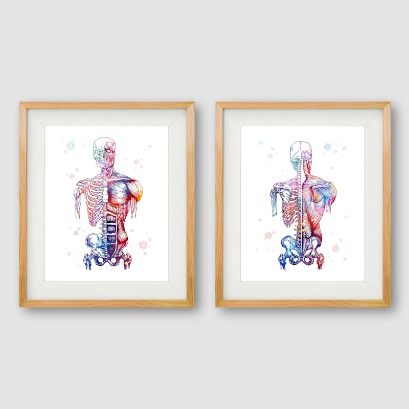 Human Muscles Canvas Art Print And Poster Watercolor Muscular System ...